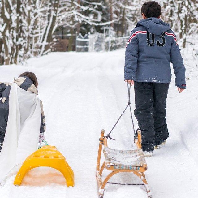 Be Cautious Of These Common Sledding Injuries | Rothman Orthopaedic ...