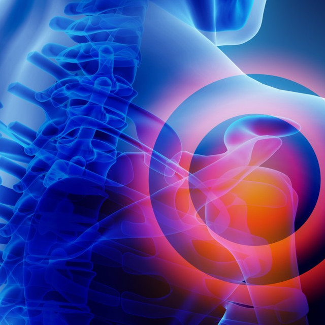 Three Key Wintertime Risks of Damage to the Shoulder Joint | Rothman ...